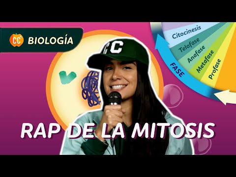 Mala Mini (Crash Course Biología) - Rap De La Mitosis (Ponle Mole A Tu ...