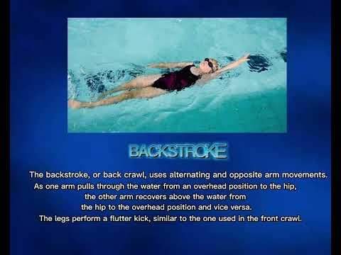 4 Types of Swimming Stroke
