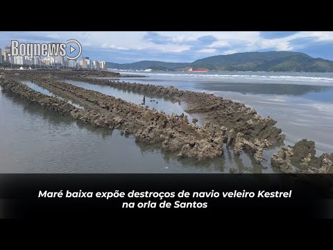 #Cidades Maré Baixa Revela Destroços do Navio Veleiro Kestrel na Orla de Santos