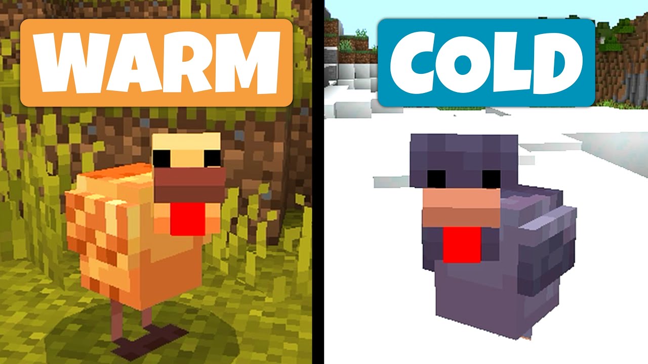 New Chicken Variants EXPLAINED: Everything You Need to Know | Minecraft Preview 1.21.70.22