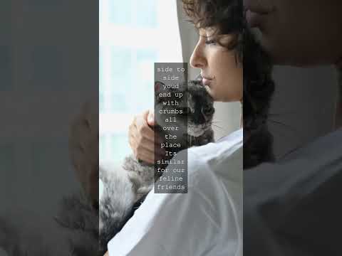 The Purrfectly Rambunctious Feline Understanding Your Cats Unique Eating HabitsAs any...