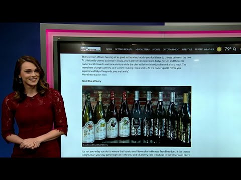 Wineries to visit in Central Florida based on TripAdvisor