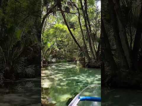 Exploring a hidden gem in Dunnellon Florida with Get Up and Go Kayaking #EcoTour