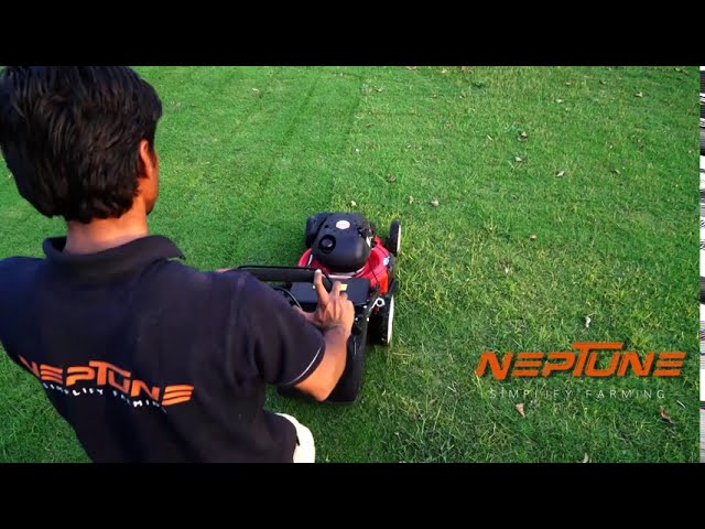Lawn Mower - LM-140 Neptune Lawn Mower Trader - Wholesaler ...