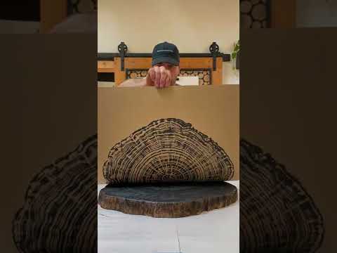 Nature Art - East Texas Tupelo Tree Ring Print - Inking and Pressing Process