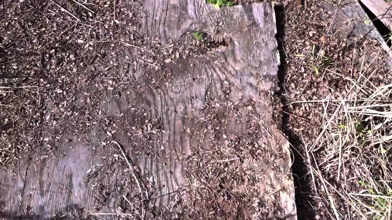 EPIC Rubber Boa Flip!