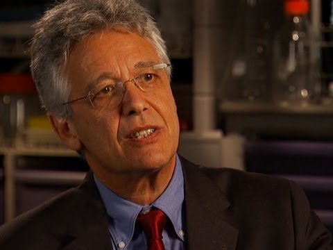 The placebo phenomenon