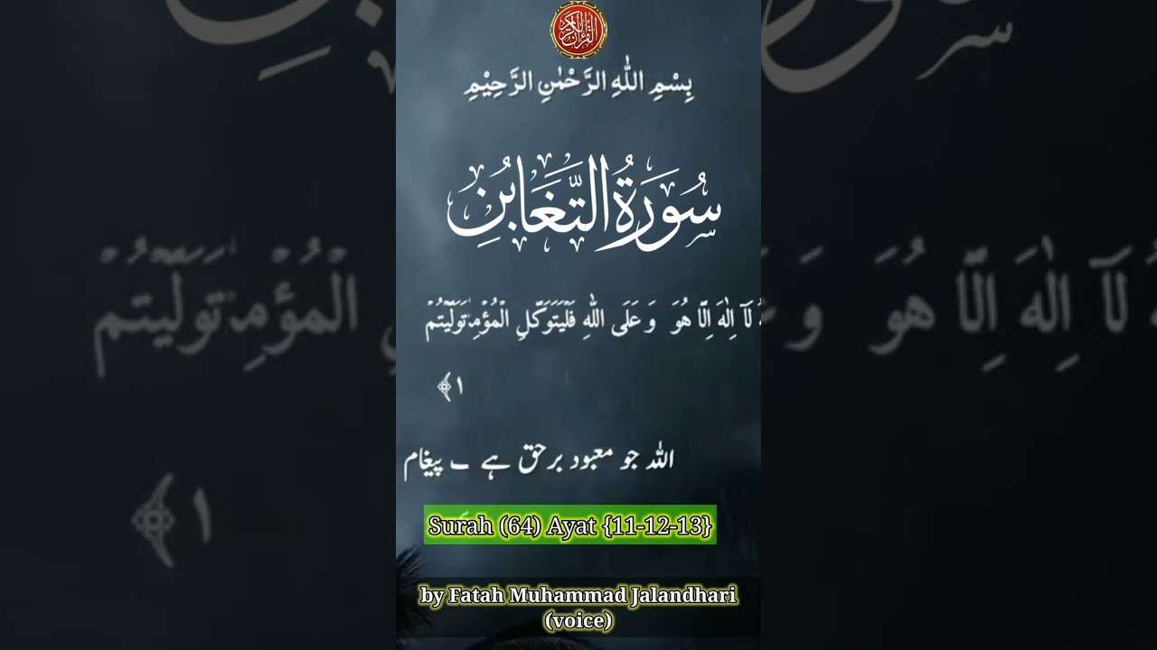 Surah 64 Chapter 64 At Taghabun Ayat 11 12 13 with Urdu