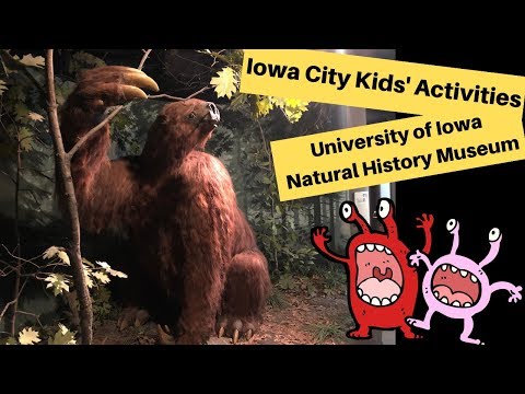 Things To Do In Iowa City -- University of Iowa Natural History Museum