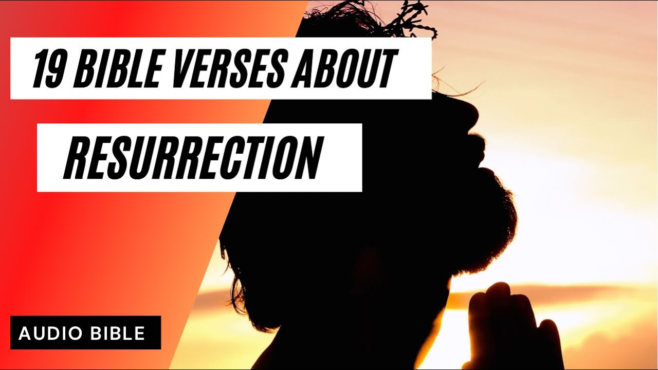 ✝️ Bible verses about the Resurrection.(Bible study)📖