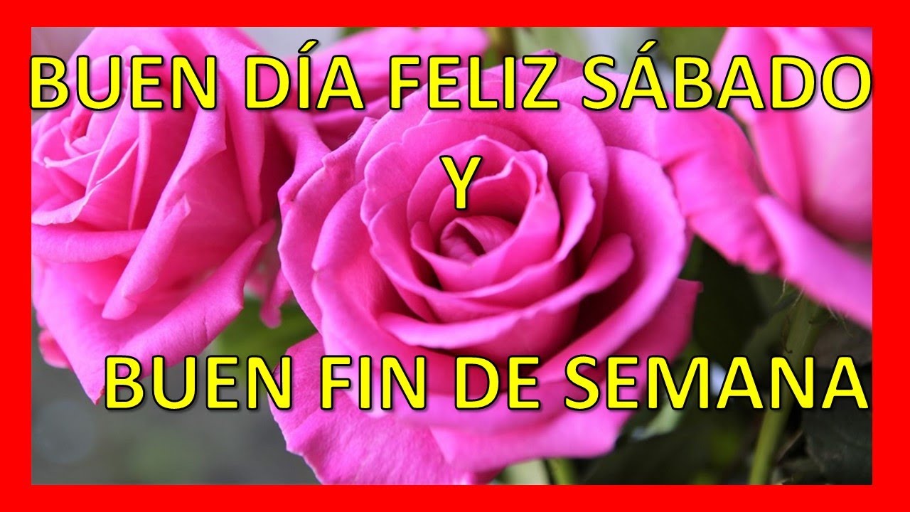 💥✨ BUEN DÍA FELIZ SÁBADO Y BUEN FIN DE SEMANA ✨💥