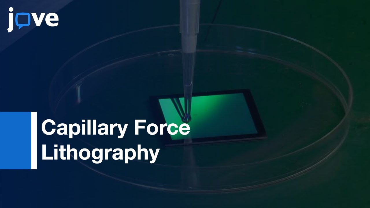 Capillary Force Lithography For Cardiac Tissue Engineering l Protocol Preview