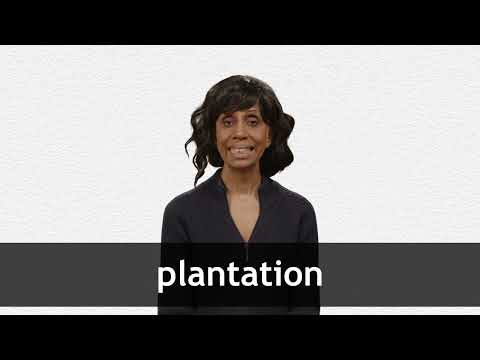 How to pronounce PLANTATION in American English
