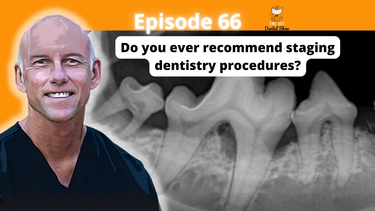Ep 66 - Do you ever recommend staging dentistry procedures?