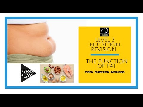 Level 3 Nutrition Revision - The function of fat