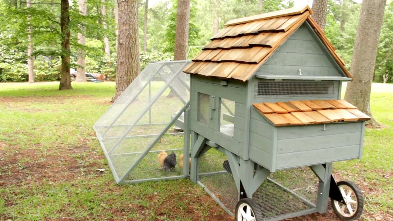 Backyard Chicken Palace | Farm Raised With P. Allen Smith