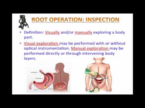 Lesson 5 - Root Operation: Inspection