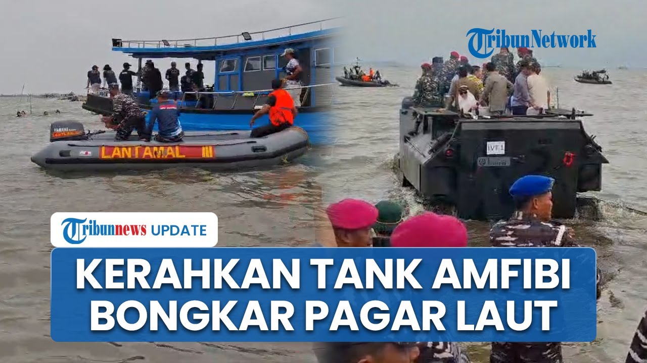 TNI AL Kerahkan Alutsista hingga Tank Amfibi saat Bongkar Pagar Laut, Nelayan Terjunkan 300 ...