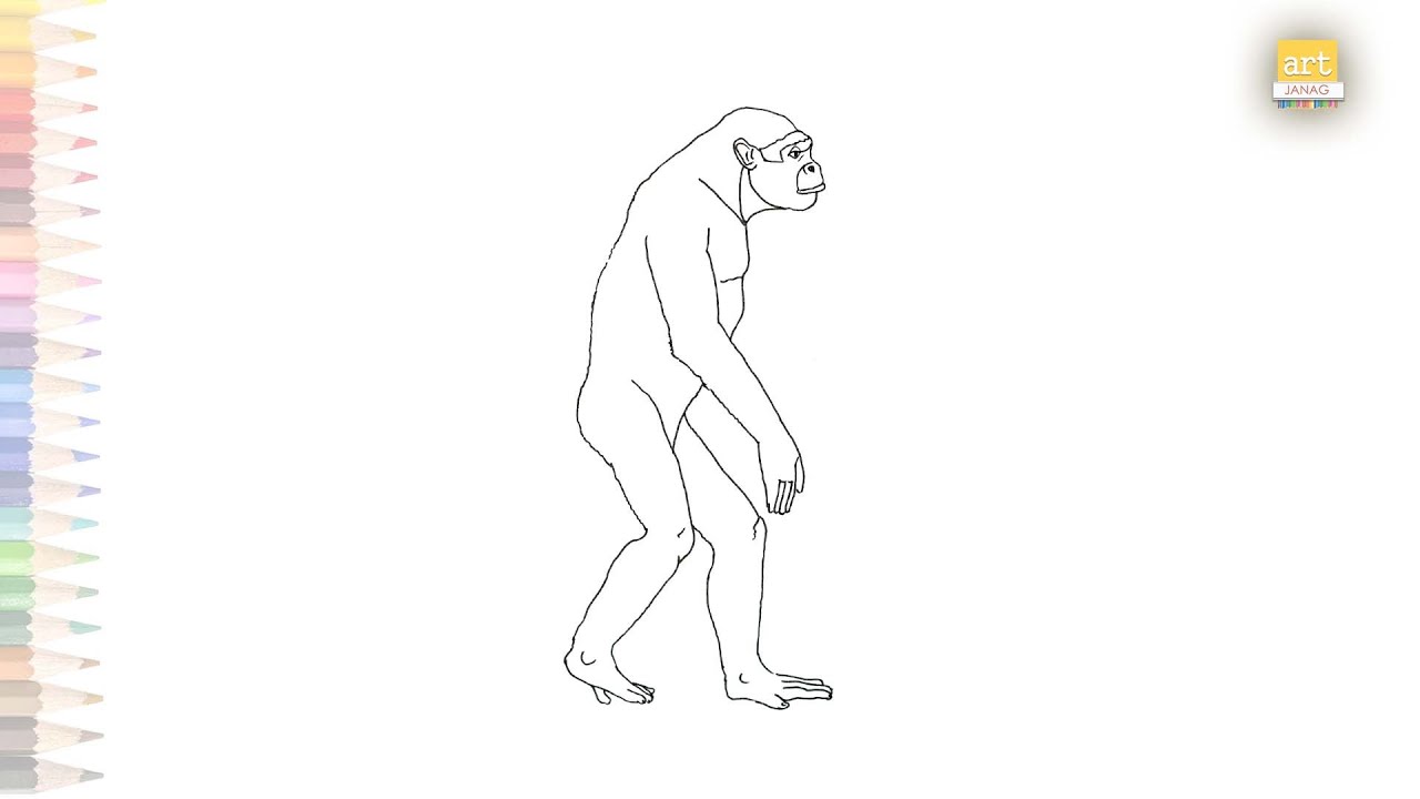 Australopithecus outline drawing | Singe du suddessin facile | How to draw australopithecus | #easy