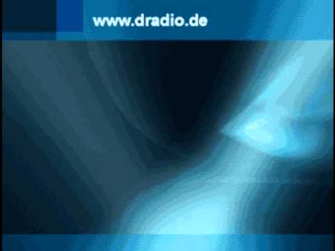 Deutschlandfunk: Das Prinzip Wikileaks - Kommentar