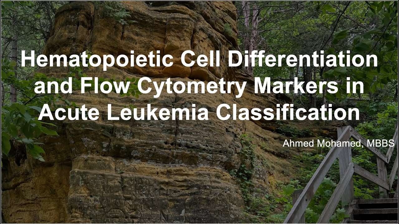 Hematopoietic Cell Differentiation and Flow Cytometry Markers in Acute Leukemia Classification