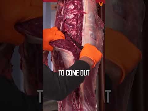 Deer Processing Part 2 - Backstrap