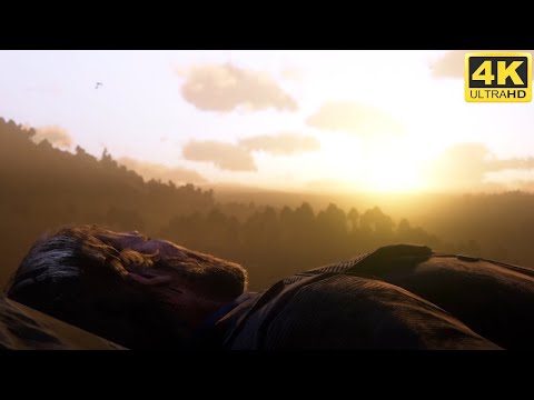 Steam Community :: Video :: SPOILER WARNING !!! - Red Dead Redemption 2 ...