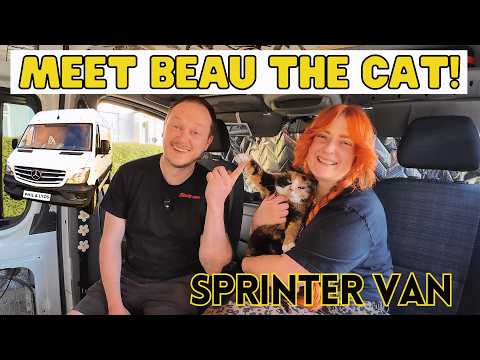 Whats the REAL weight of our Sprinter Van? and meet Beau 😻 | Sprinter Van Build EP41