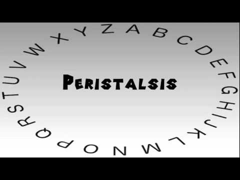 How to Say or Pronounce Peristalsis