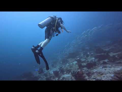 Raja ampat diving holiday 2025 - Ruud Jansen