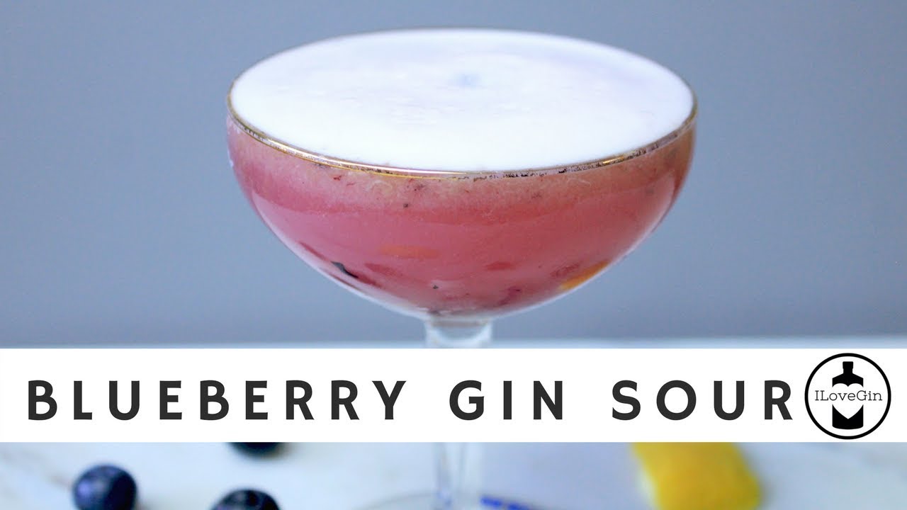 Blueberry Gin Sour | The Gintern