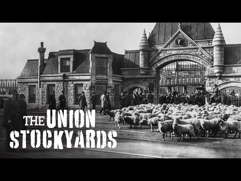 The Union Stockyards — A Chicago Stories Documentary