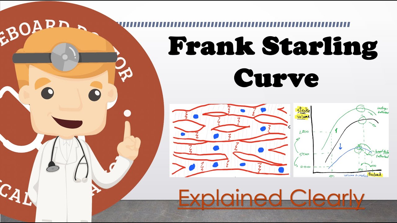 Cardiac Physiology Basics - Frank Starling Physiology And Curve Explained | Clinical Medicine