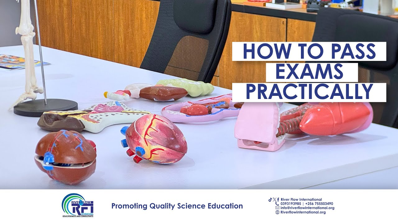 How to pass exams practically (PLE - Part 1)