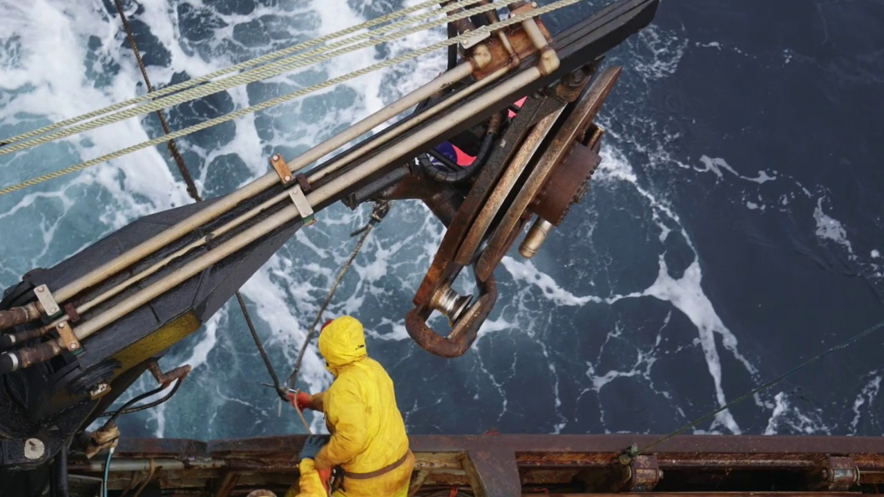 Golden King Crab - Keyport LLC