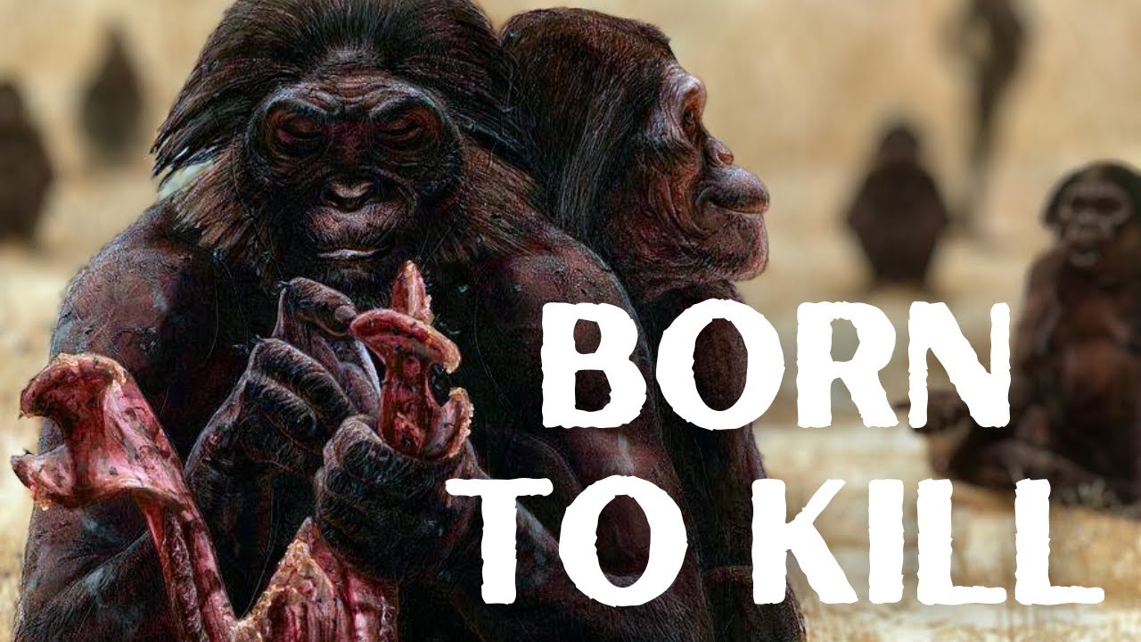 The Killer Ape Theory of Human Evolution