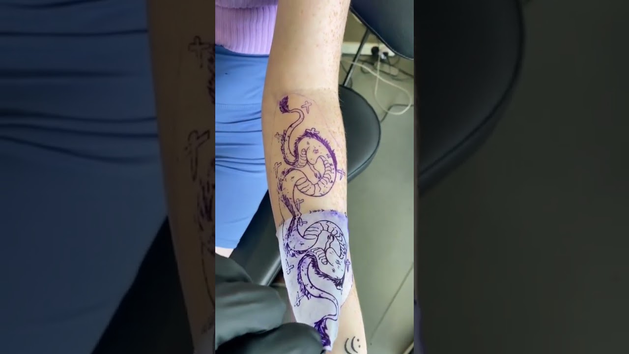 Everyone's favourite studio ghibli dragon