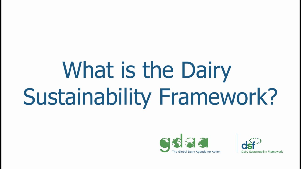 What is the Dairy Sustainability Framework