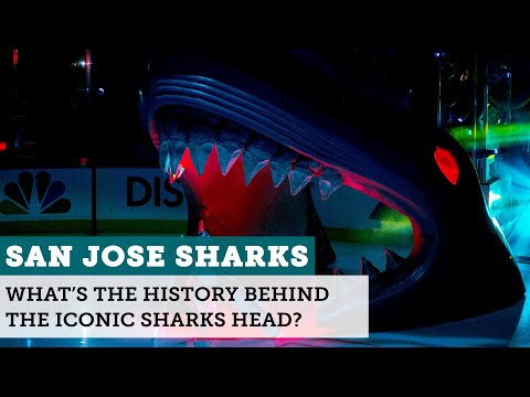 Ever Wonder: Where did San Jose's huge shark head come from? | NBC Sports Bay Area