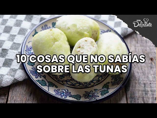 3 recetas fáciles y deliciosas que puedes preparar con tuna