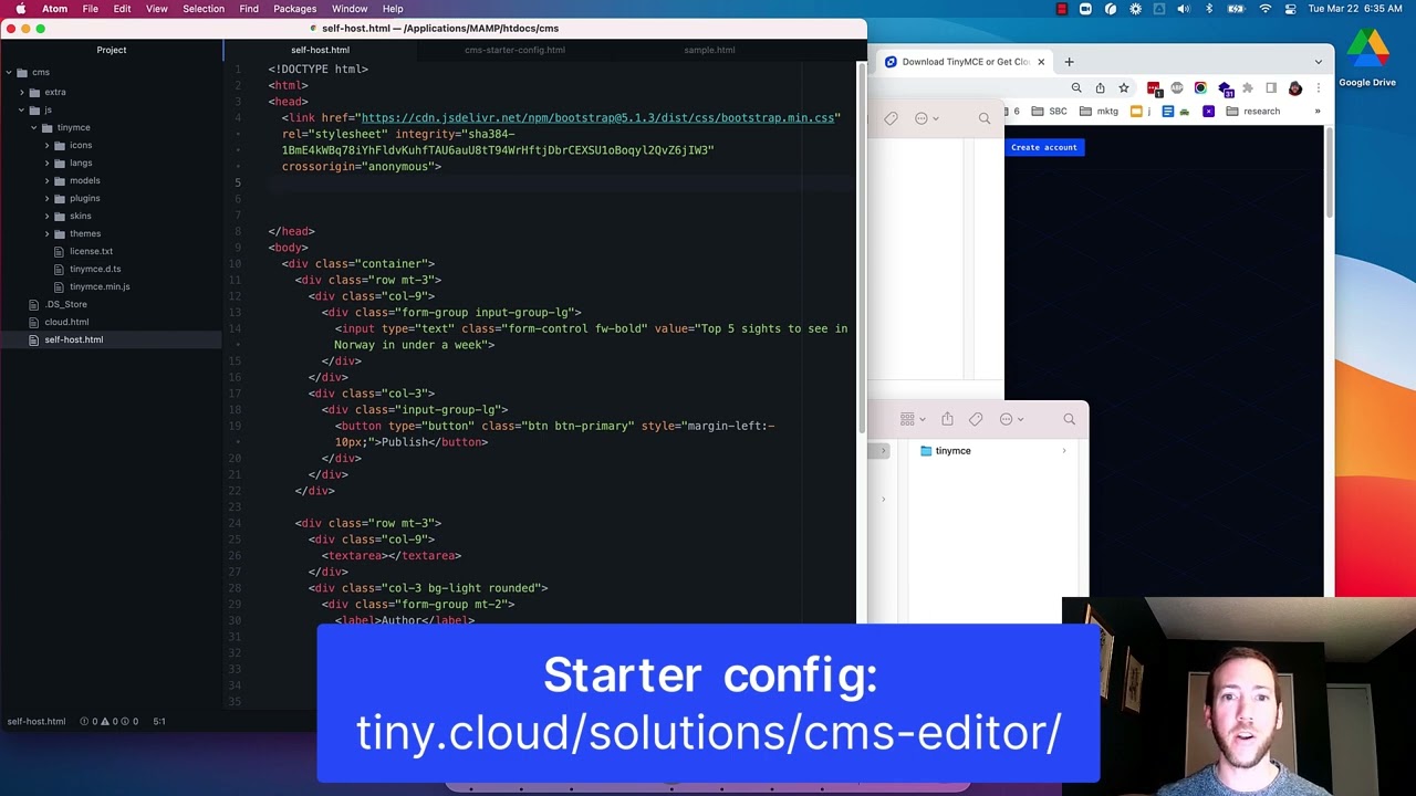 Setting up CMS text editor | TinyMCE Hybrid Self-Host CMS Starter Config