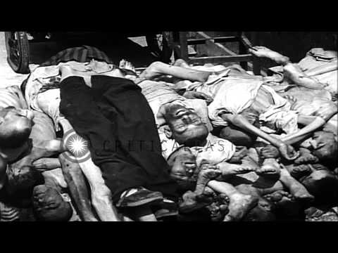 A pile of dead bodies and bone ash is seen at Buchenwald concentration camp in Ge...HD Stock Footage