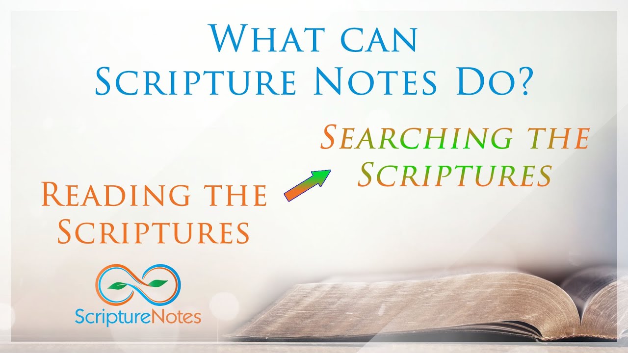 What can Scripture Notes do?