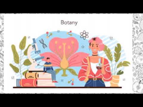 Difference between zoology and botany||what is Biology||what is zoology and botany||deep knowledge 🌾