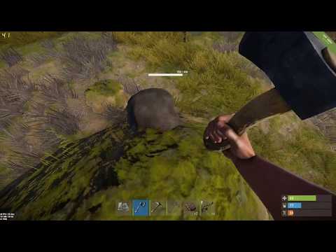 Steam Community :: Video :: The old Rust bears 0_o (Will he die?)
