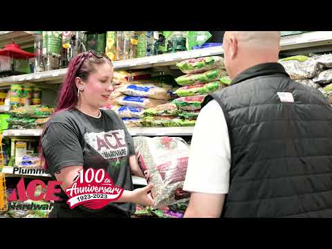Plummer's Ace Hardware- Birds