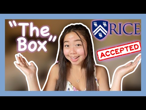 How to RICE UNIVERSITY "The Box" prompt picture | My submission reveal that got me accepted to '25