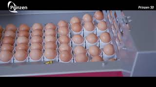 Videos | PROultry.com, avicultura para profesionales