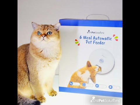 AllPetSolutions - 6 Meal Automatic Pet Feeder with LED Timed Settings