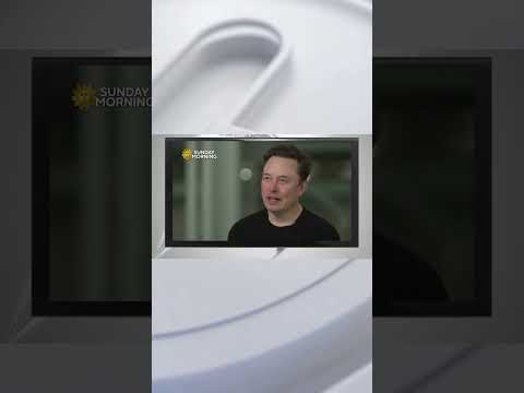 Elon Musk leaves White House